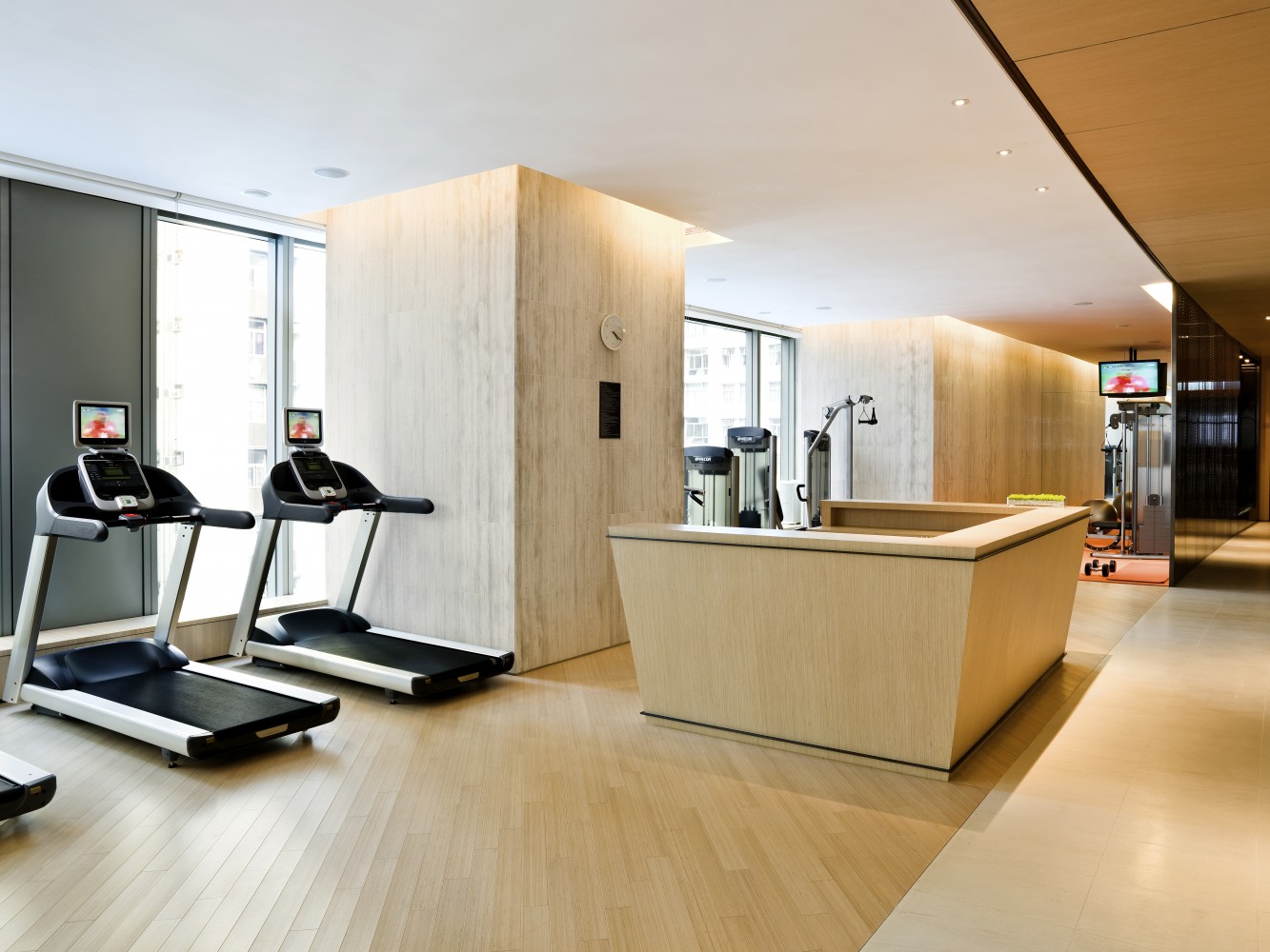 Dinosaur Suite - Joelle Magazine